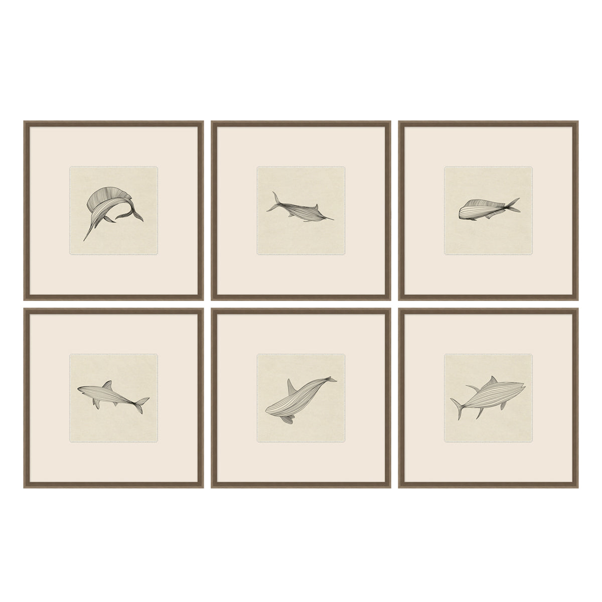 Marine Line Drawing Gallery Wall – Tuesday Made