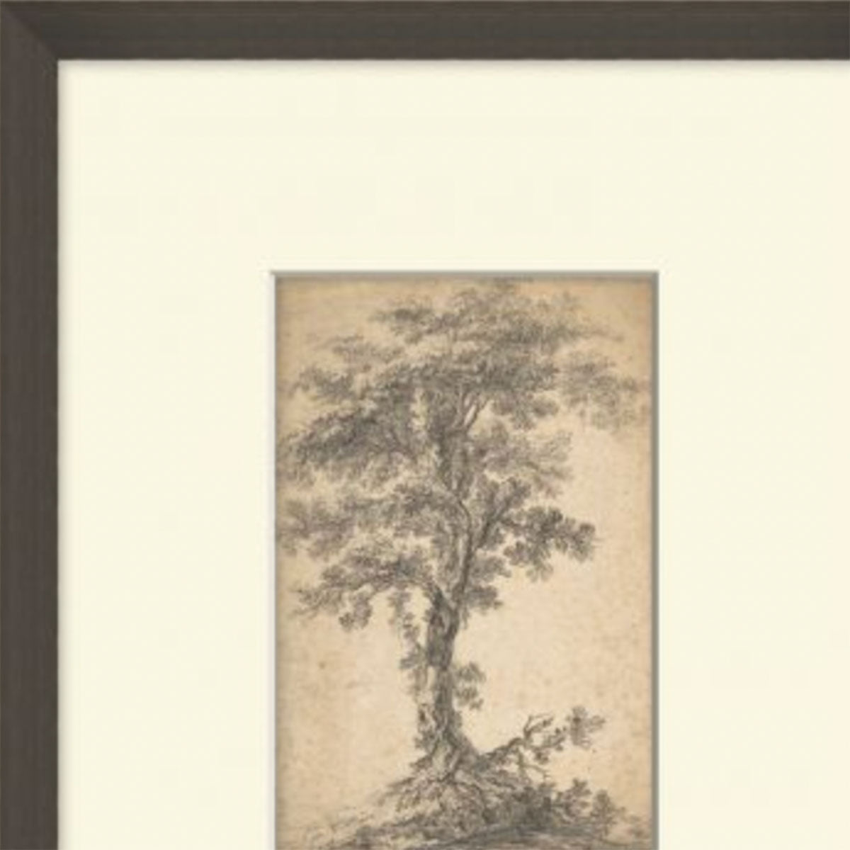 Tree Etching – Tuesday Made