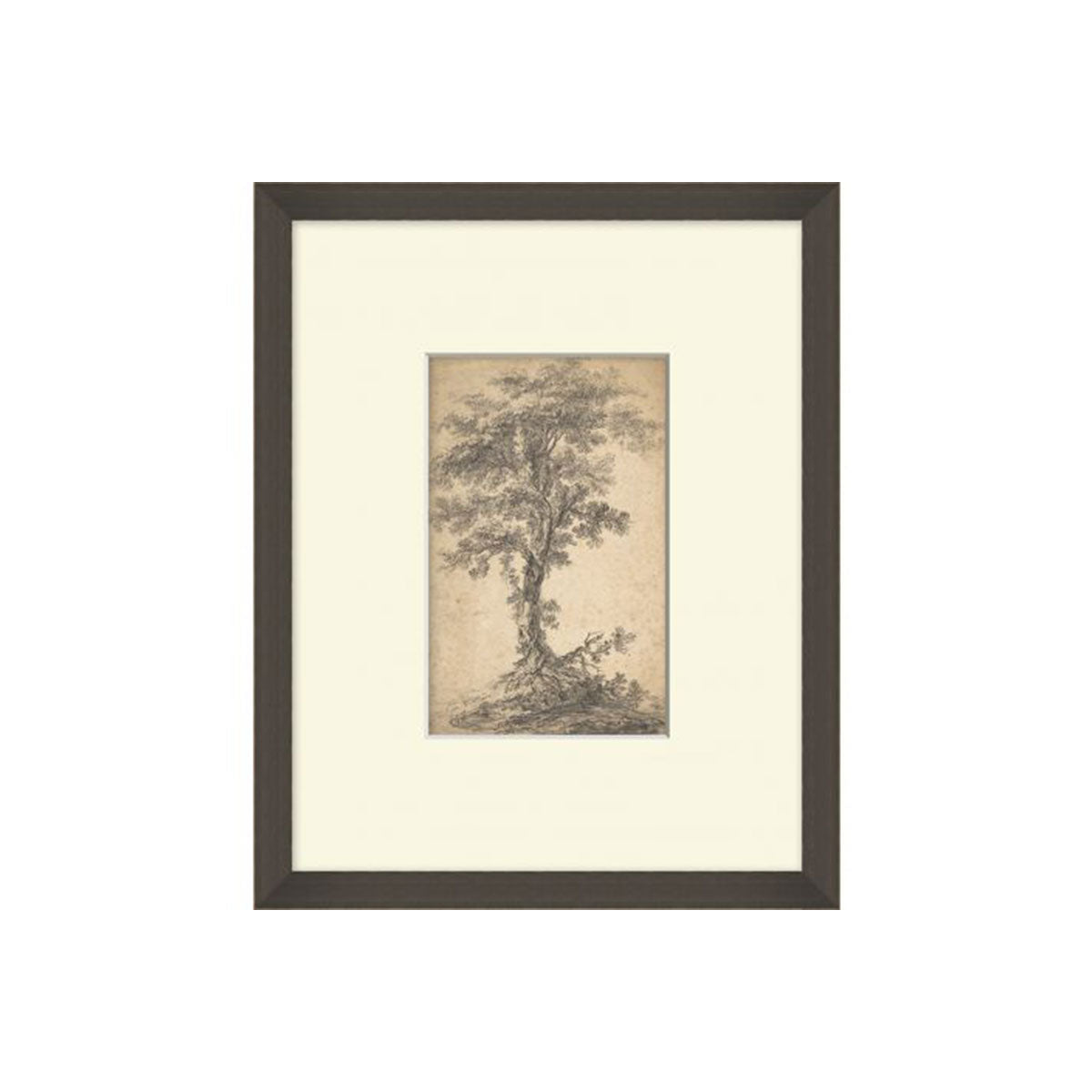 Tree Etching – Tuesday Made